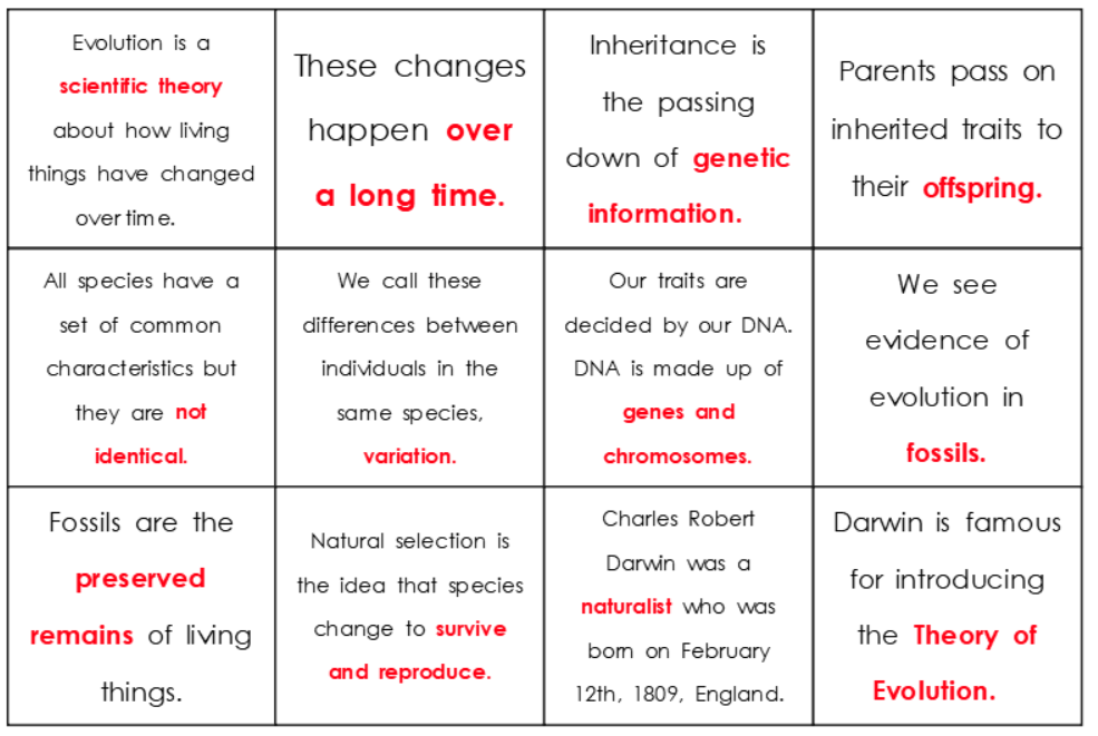 Horton Mill Community Primary School - Year 6